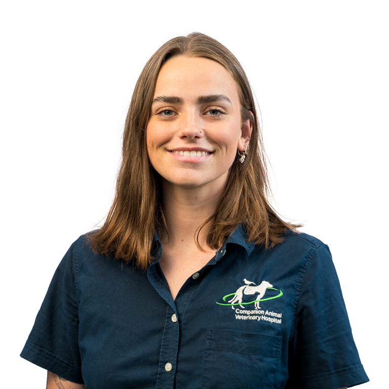 Companion Animal Vet in Australia | Caring Pet Hospital
