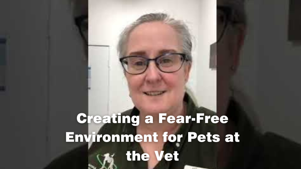 Creating a Fear-Free Environment for Pets at the Vet | Companion Animal ...