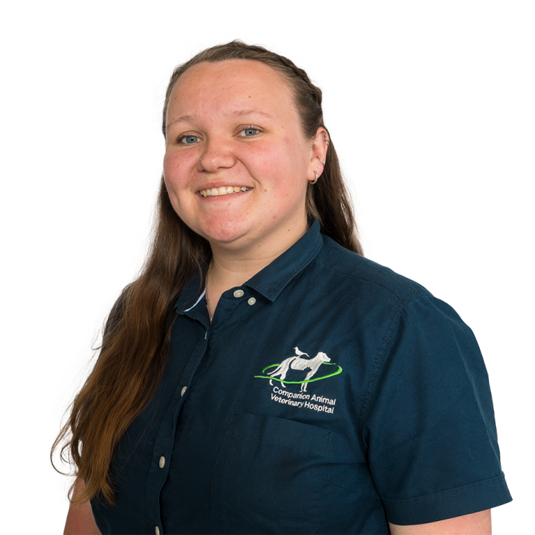 Companion Animal Vet in Australia | Caring Pet Hospital
